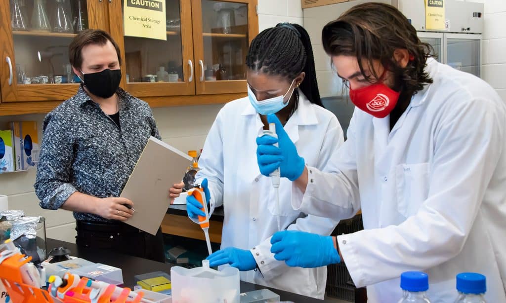 Chemistry Department | College of Sciences | AUM