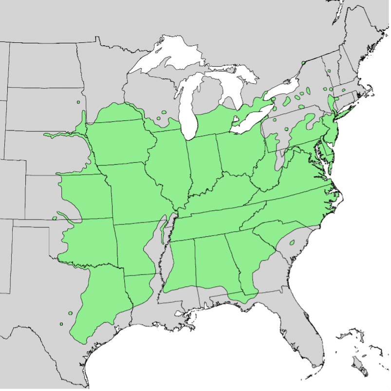 Forest Education Trail | AUM