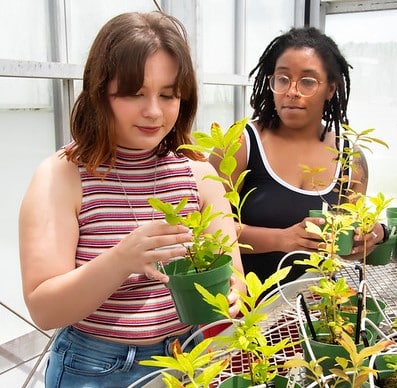 Warhawk Weekly 6-20: Botanical Society of America; Outstanding alumni - AUM