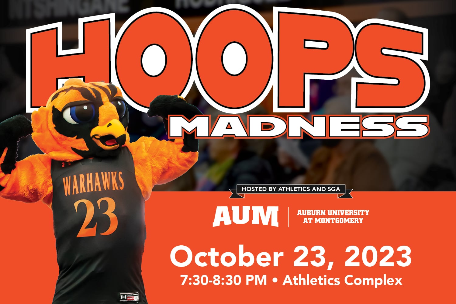 Hoops Madness - AUM